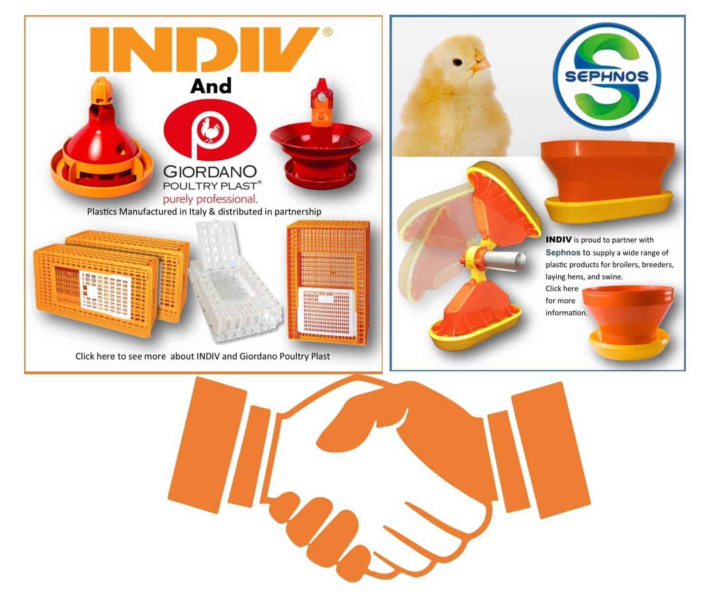 indiv-partnerships - INDIV USA